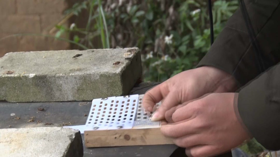 养蜂小伙手把手教你做这个分蜂神器,分蜂的问题从此变得简单