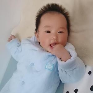 石头爱嘟嘟 