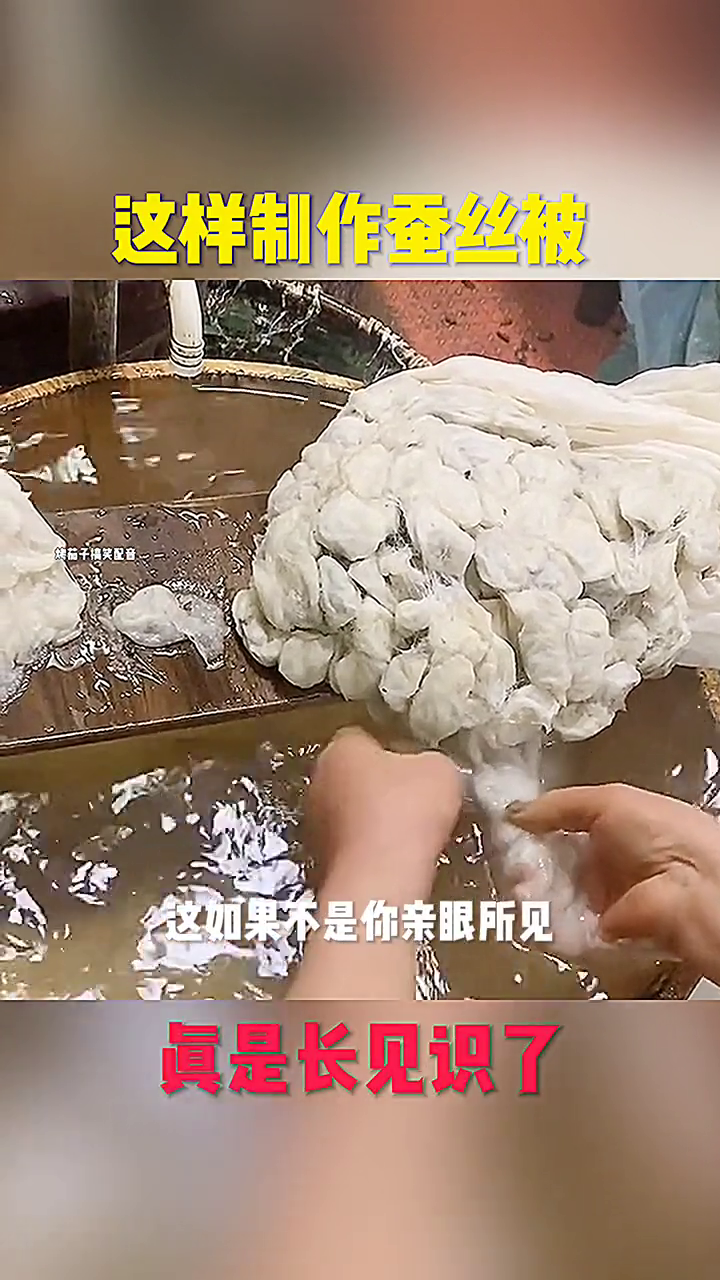 这样制作蚕丝被,真是长见识了