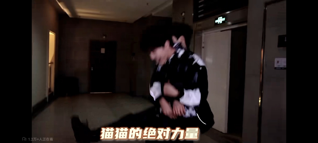 Tf家族三代一起去做的第n件事第19reaction cp向发言,完全发疯记录,...