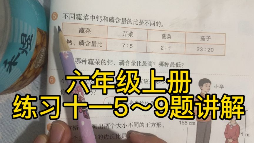 人教版数学六年级上册～练习十一5～9题讲解P51页