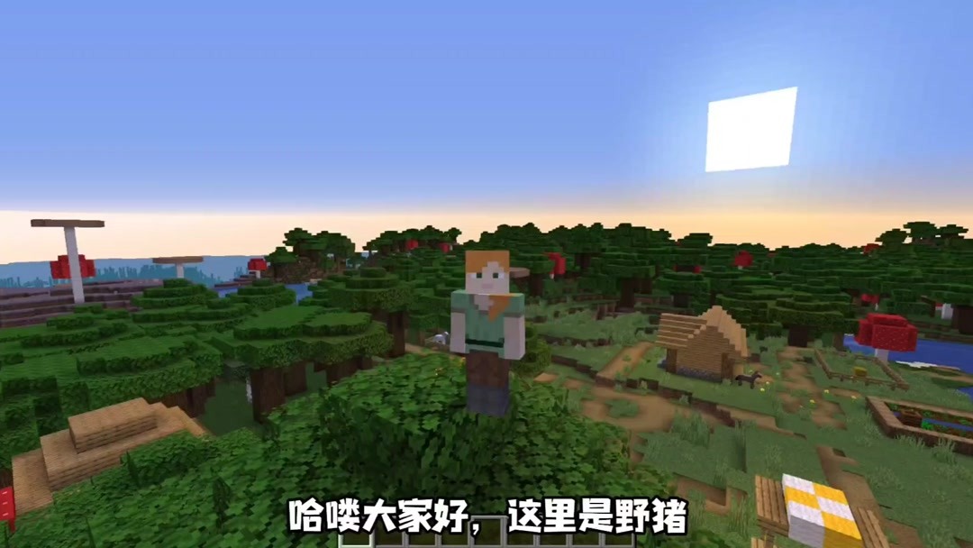 我的世界:生存玩家超爱的种子!出生就有蘑菇岛村庄