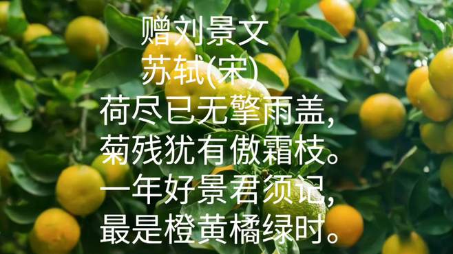 三年级上册《赠刘景文》古诗讲解