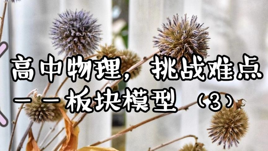 可爱又有点难的物理,来挑战!——板块模型(3)