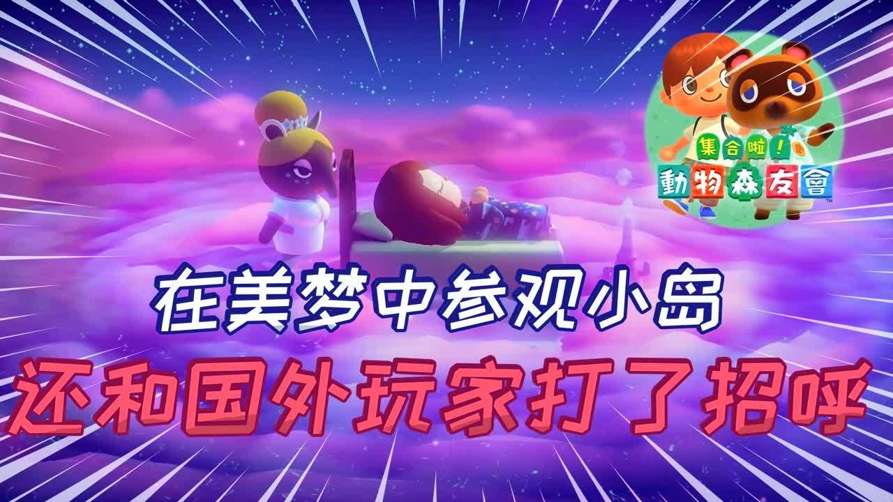 动物森友会:在美梦中参观小岛,还和国外玩家打了招呼