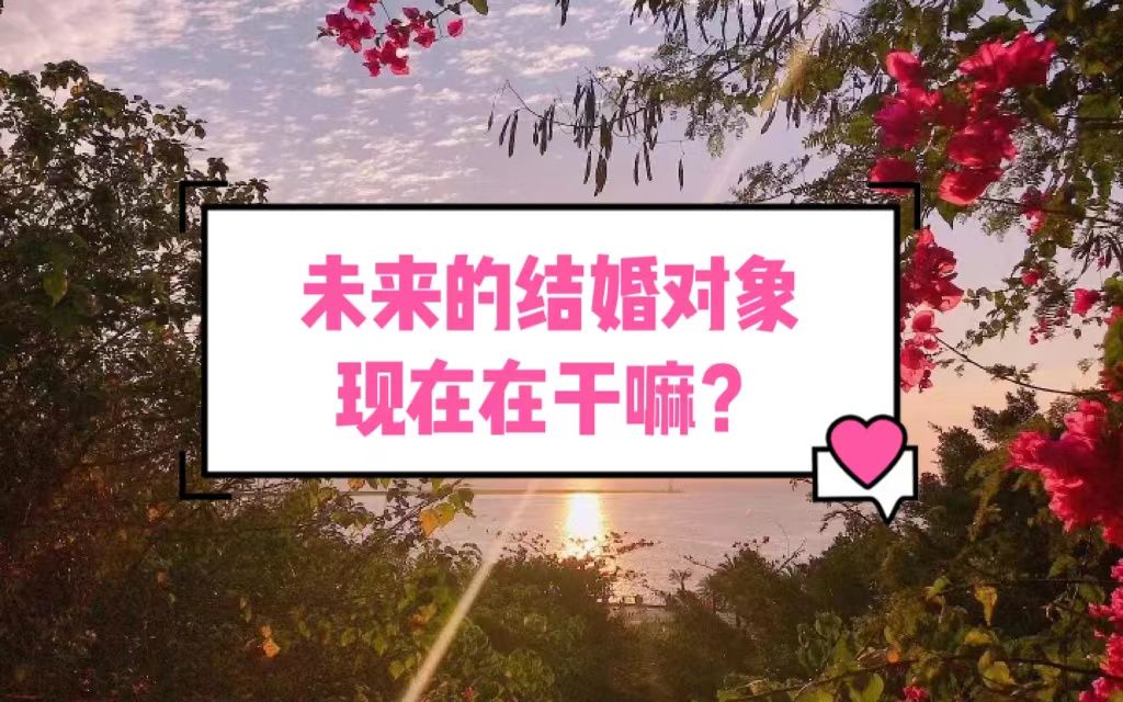 【葱酱塔罗】未来的结婚对象现在在干嘛?