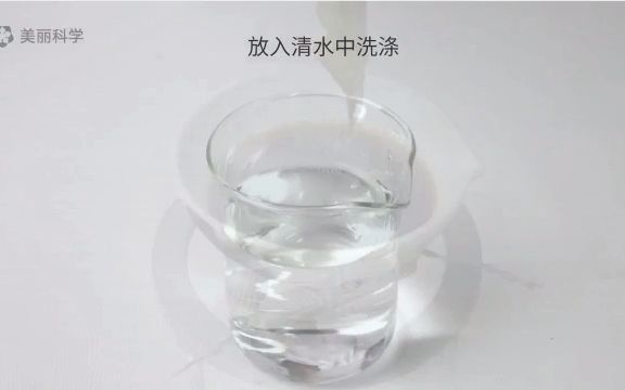 7-2-2用碱溶液制作叶脉书签