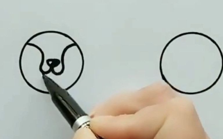 【简笔画】今天的简笔画是小动物合集哦!