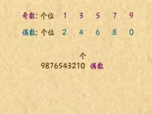 认识单数与双数