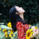 小夏车世界 