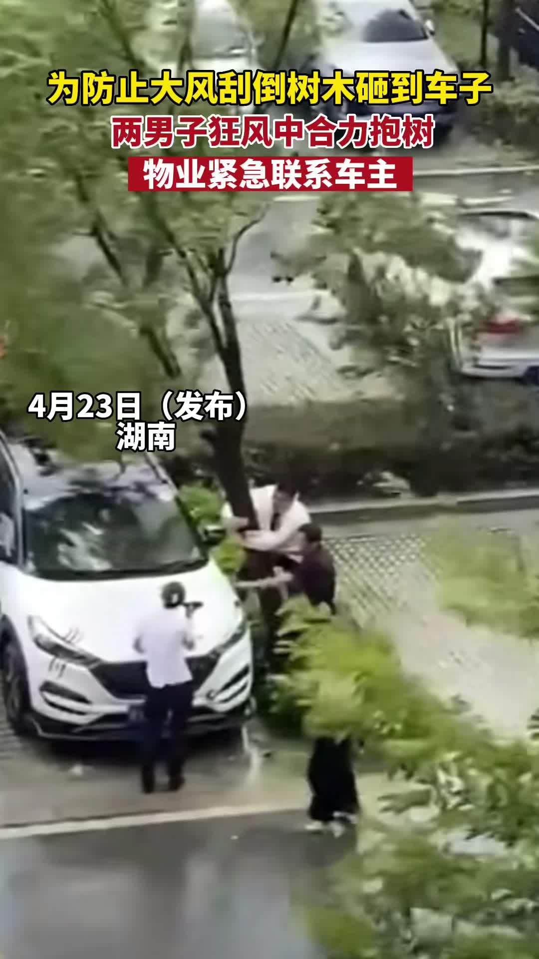 这个才是物业管理