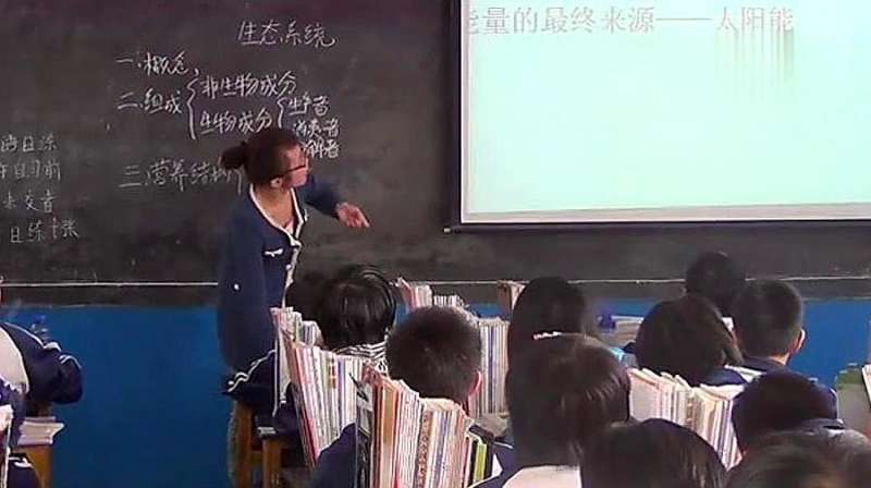 人教版七年级生物公开课教学视频:生物与环境组成生态系统07