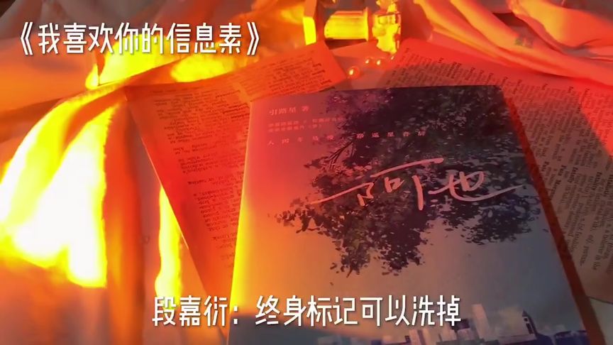 他说,我的阿也。#我喜欢你的信息素#路星辞段嘉衍 #广播剧