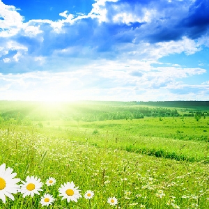 青岛紫峰培训中心 