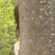 哈哈又 