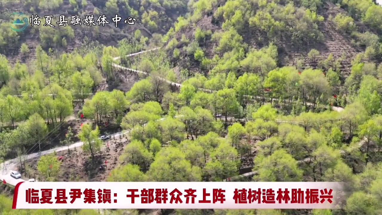 临夏县尹集镇:干部群众齐上阵植树造林助振兴