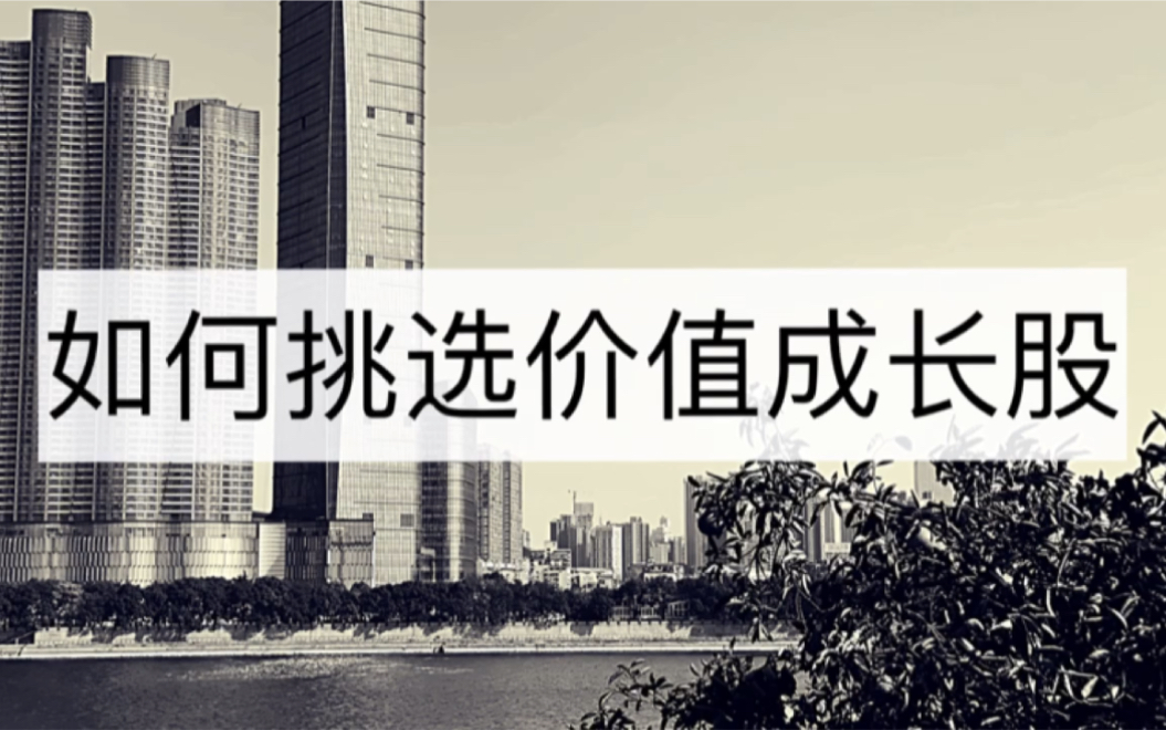 如何挑选价值成长股