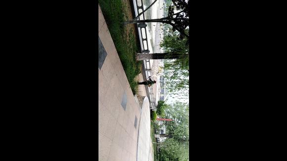 山东沂源—— 街头景象:美丽小城的维护者