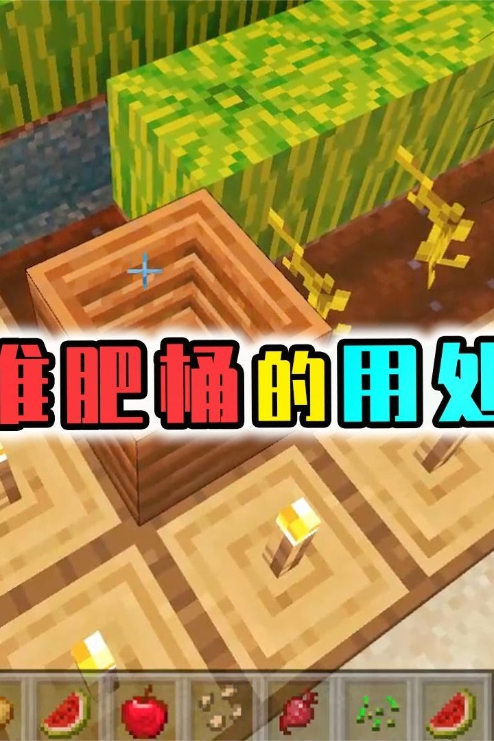 我的世界:你知道MC堆肥桶的用处吗?哪个食物转换率最高?