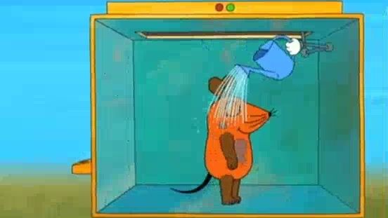 聪明的老鼠、自动洗澡机给自己洗澡