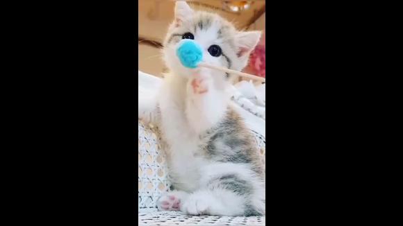 可爱宝宝陪你一生一世