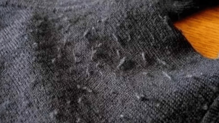衣服上起很多毛球不想穿,教你一招,轻松去除衣服上的棉絮和毛球