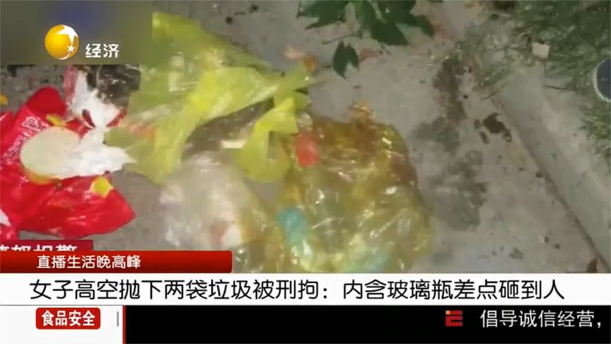 女子高空抛下两袋垃圾差点砸到人,内含玻璃瓶金属罐,已被刑拘