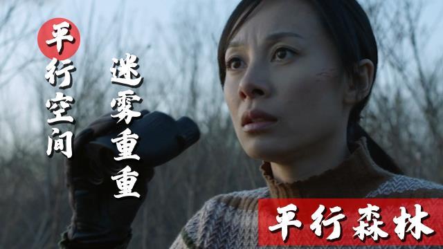 平行森林:失去孩子的母亲,误入平行空间,她又将经历怎样的冒险