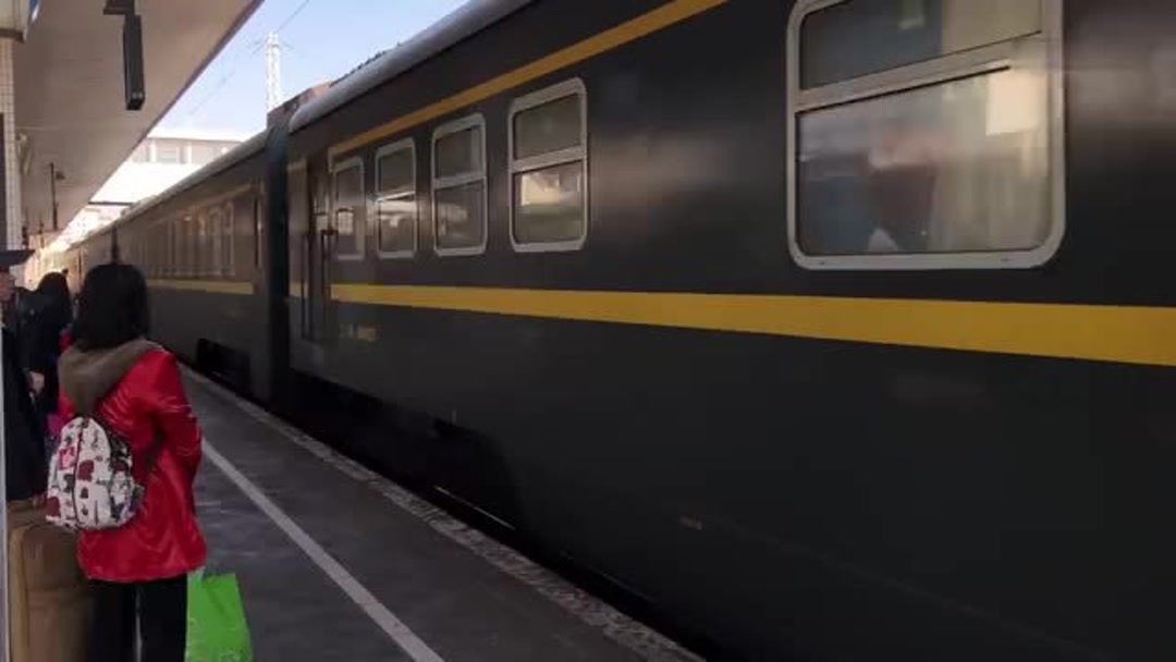 Z229次列车 乌鲁木齐～深圳 进韶关东站