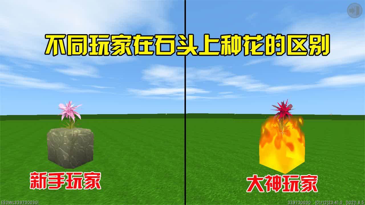 迷你世界:不同人在石头上种花,新手和大神都成功,谁做的更好呢
