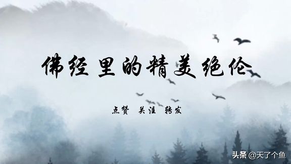 佛经里的精美绝伦箴言