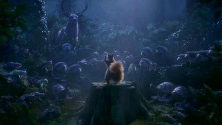 森林里嘀动物音乐会