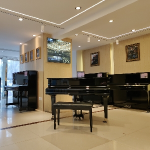 龙韵琴行金色江南 