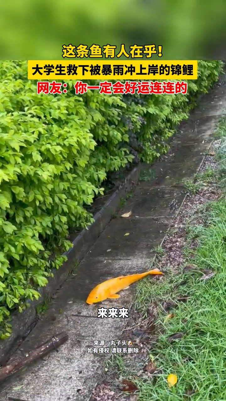 福建农林大学(发布)网友:你一定会好运连连的