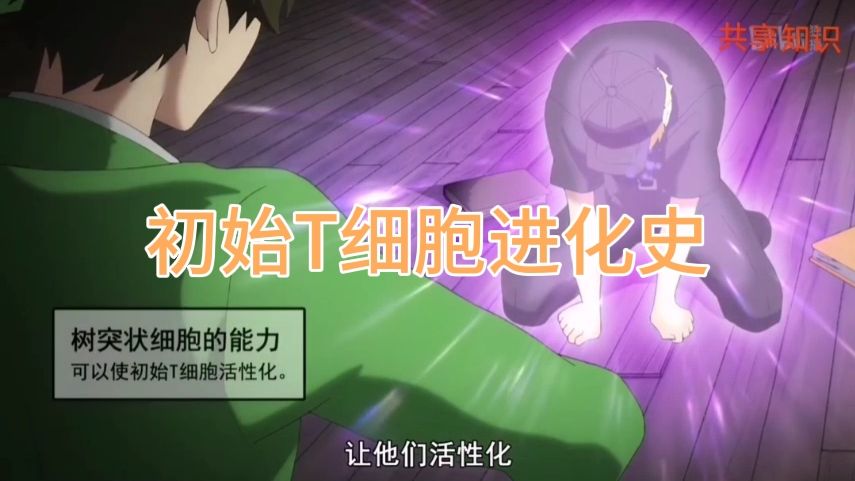 用动画的方式介绍人体中细胞的工作方式8 杀手T细胞的进化史