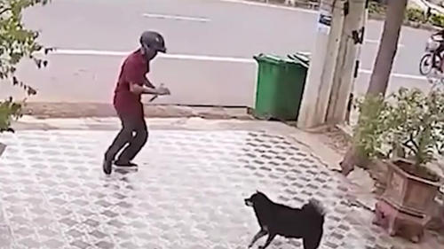 男子突然遇到狗狗撕咬,下意识的动作吓退狗狗