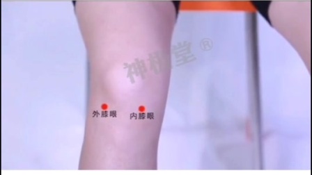 神极堂穴位指导,膝眼穴
