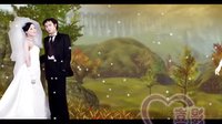 AE特效 AE制作 AE模板