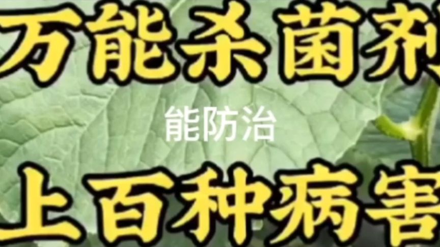 万能杀菌剂能防治一百多种病虫害