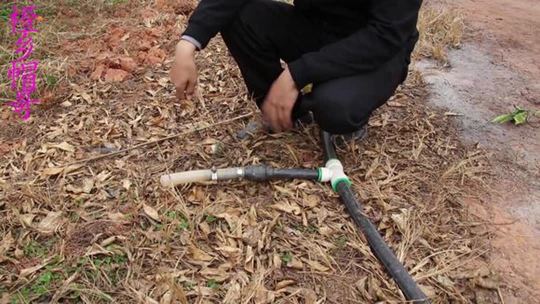 赣南脐橙:果园自制滴灌设施,这样布水管,大家觉得怎么样