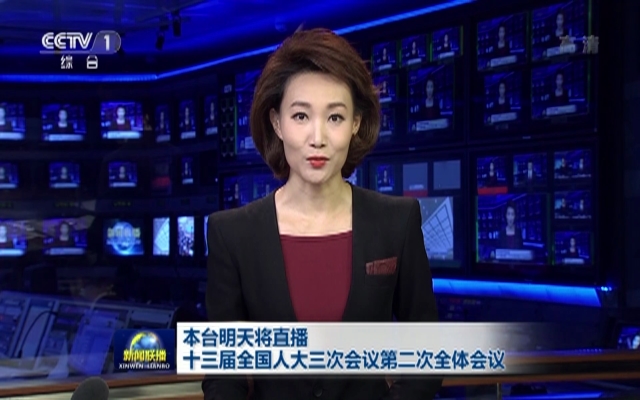 本台明天将直播十三届全国人大三次会议第二次全体会议