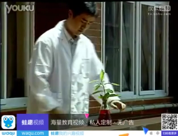 生物实验11茎的输导功能