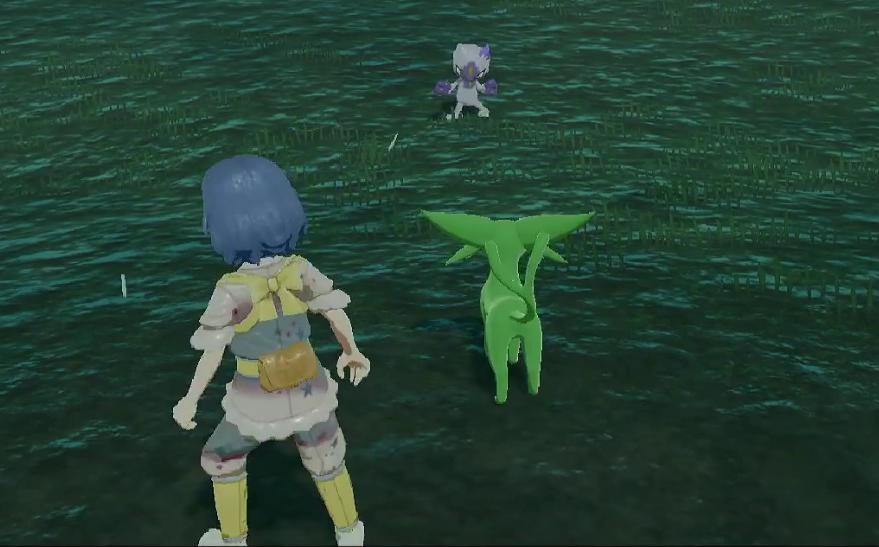 太阳伊布的小屁股真可爱