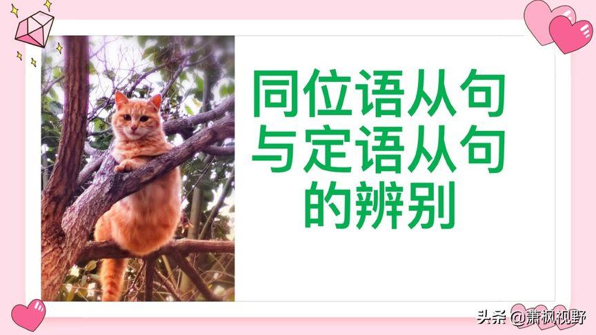 利用be 动词辨别that 引导的同位语从句和定语从句