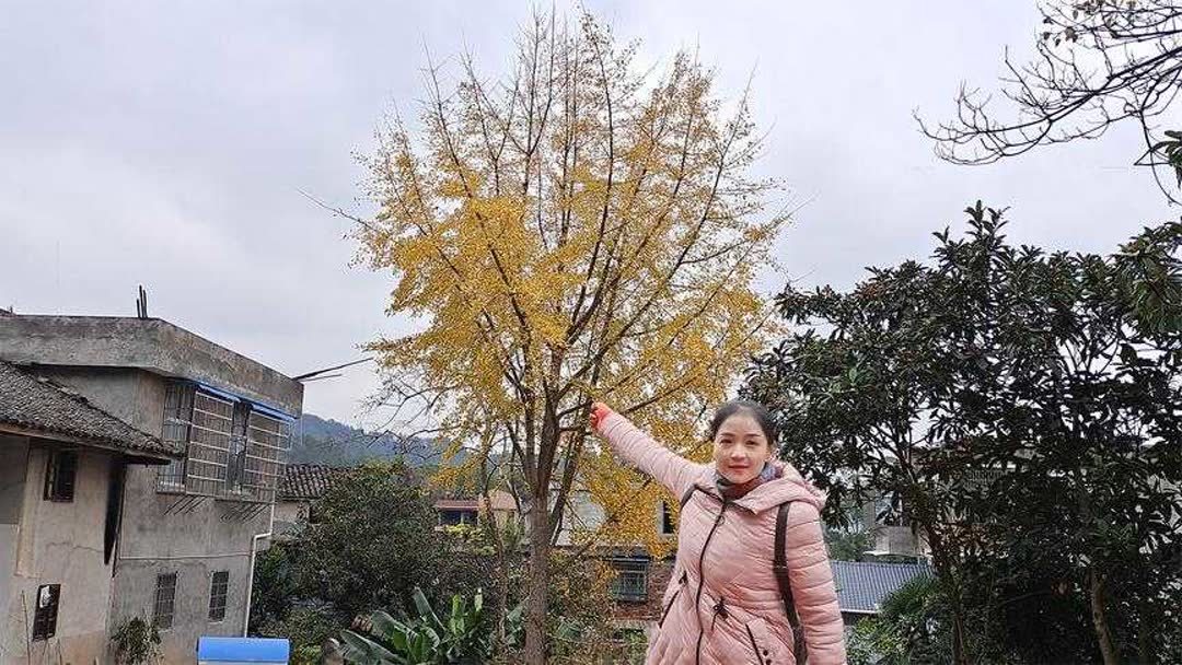 世界上最迟开花结果的植物,生长得非常漂亮,具有很高的经济价值