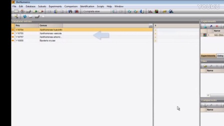 从公共数据库导入序列[BioNumerics 6]