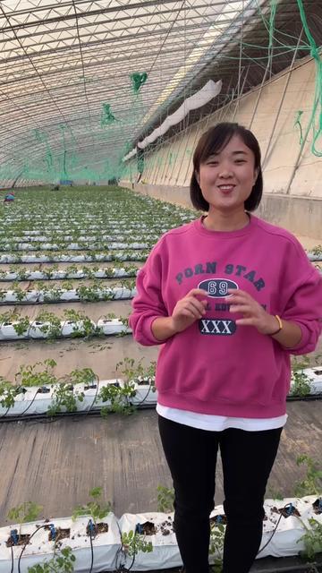 无土栽培种植成本核算,一次投入多年循环使用,你觉的这个投入高吗?