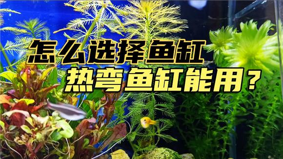 怎么选择玻璃鱼缸,挑选鱼缸注意事项,热弯鱼缸会不会爆缸能用吗