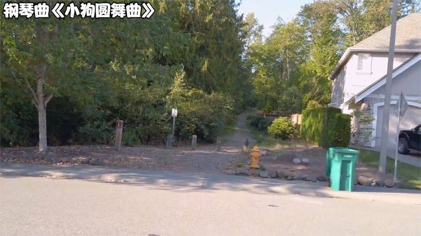 钢琴曲《小狗圆舞曲》.尝试用身体动作表达自己对音乐作品的理解.