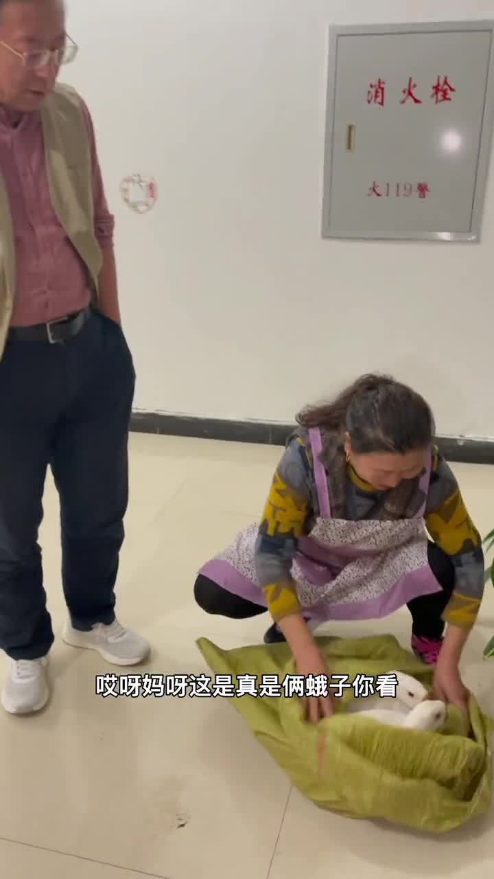 夫妻之间要相互尊重信任才是